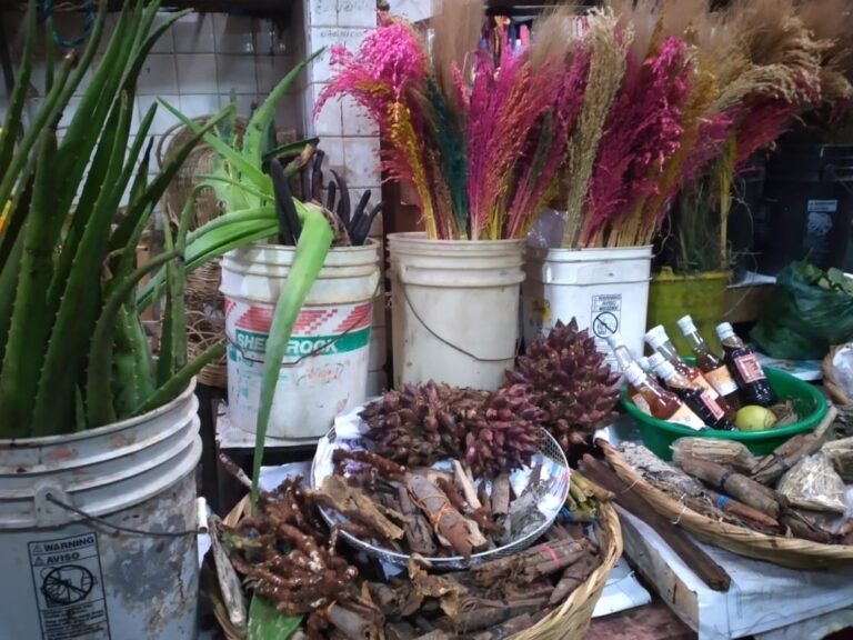 Conozca el baño de las 7 hierbas y para qué sirve