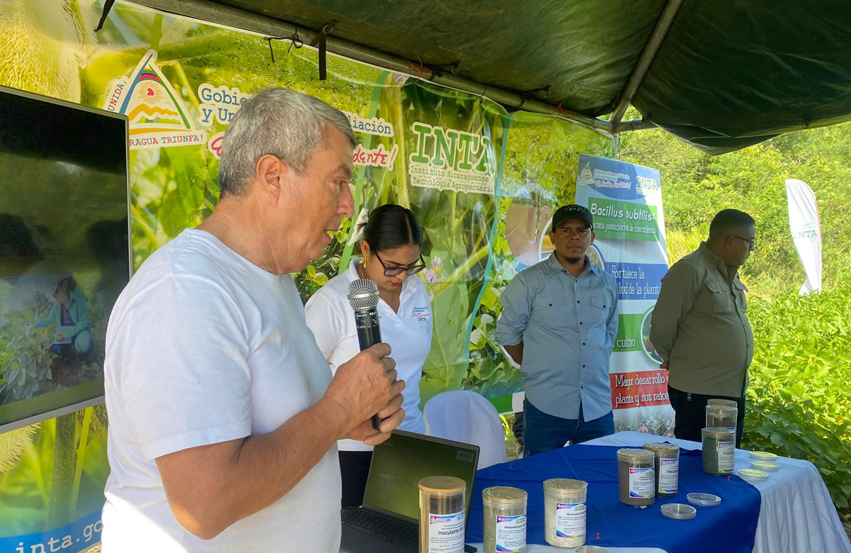 INTA impulsa tecnología para optimizar el rendimiento del cultivo de soya