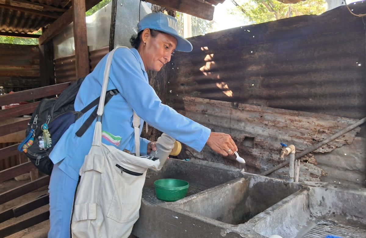 Fumigación y abatización frenan enfermedades en el Distrito II de Managua