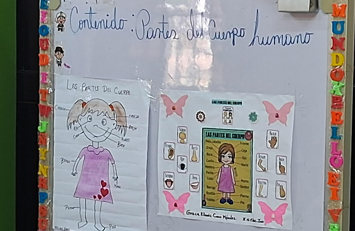 Mined presenta contenidos educativos en Teleclases para este fin de semana