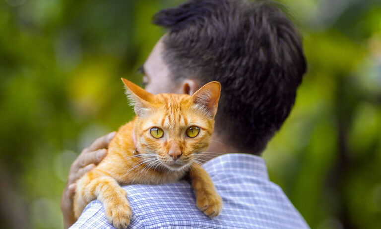 Un anciano de 82 años legará su herencia a quien prometa cuidar de su amada gata