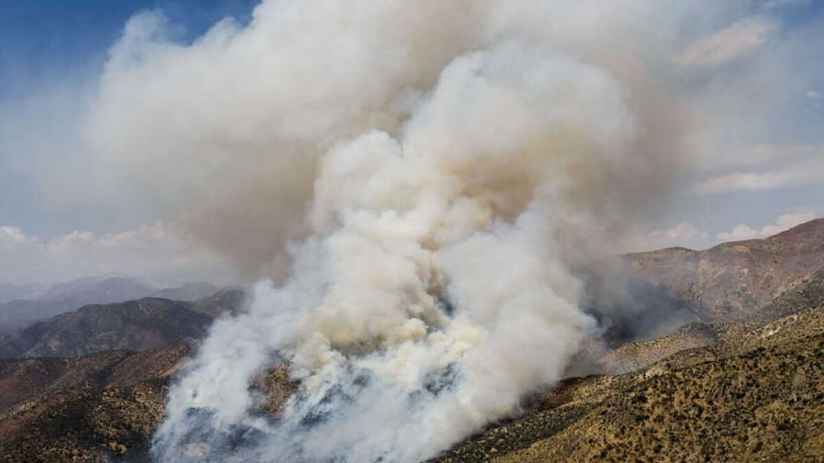 Incendio forestal en Chile mantiene alerta máxima por su propagación